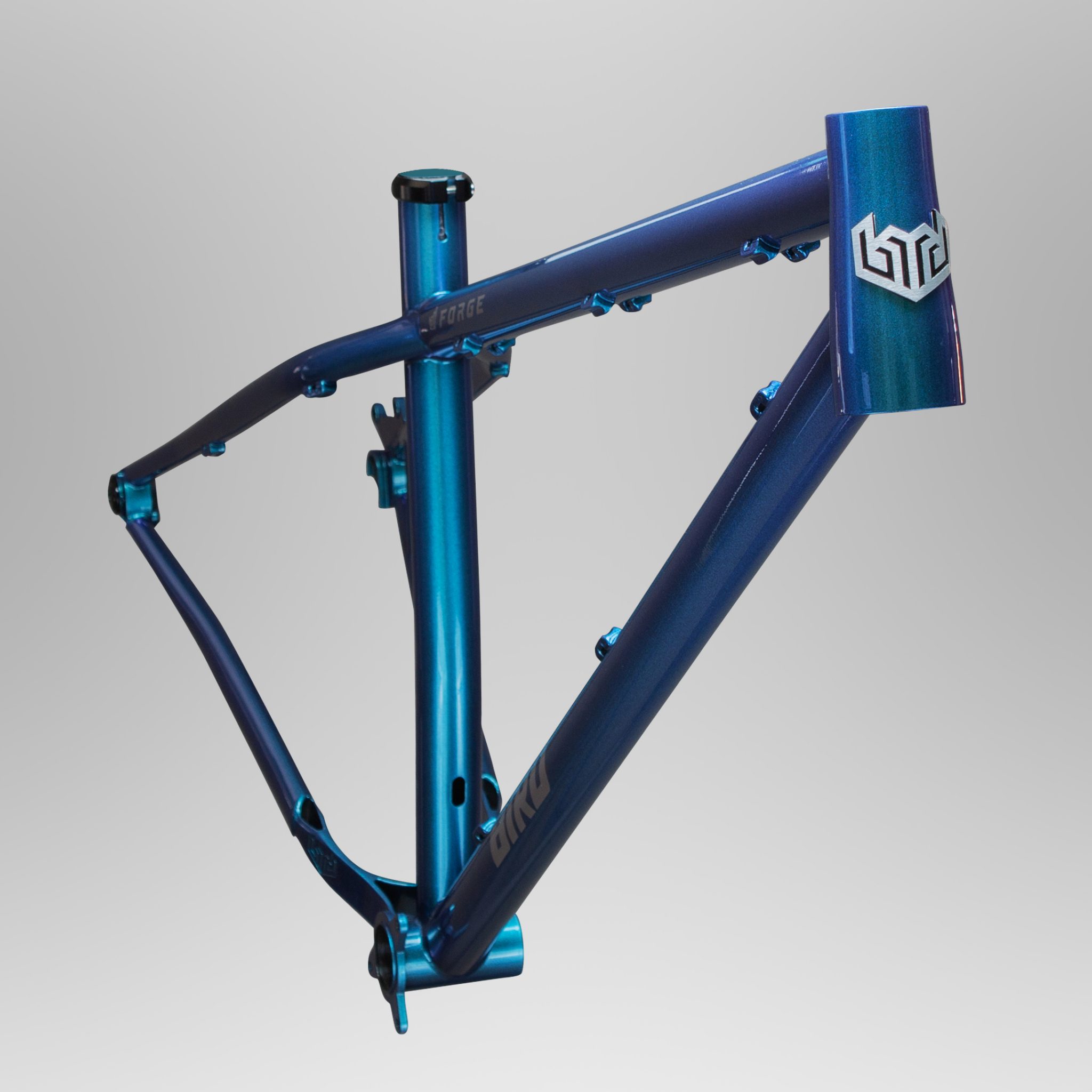 Forge - Shimano 12 Speed | Bird MTB - Born in Swinley, Built in the UK.