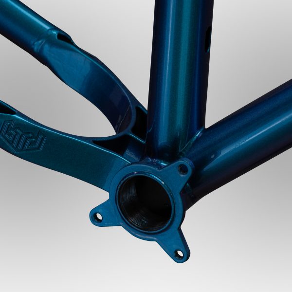 Forge 29″ Hardtail Frameset – Bird MTB // Born in Swinley, Built in the UK.